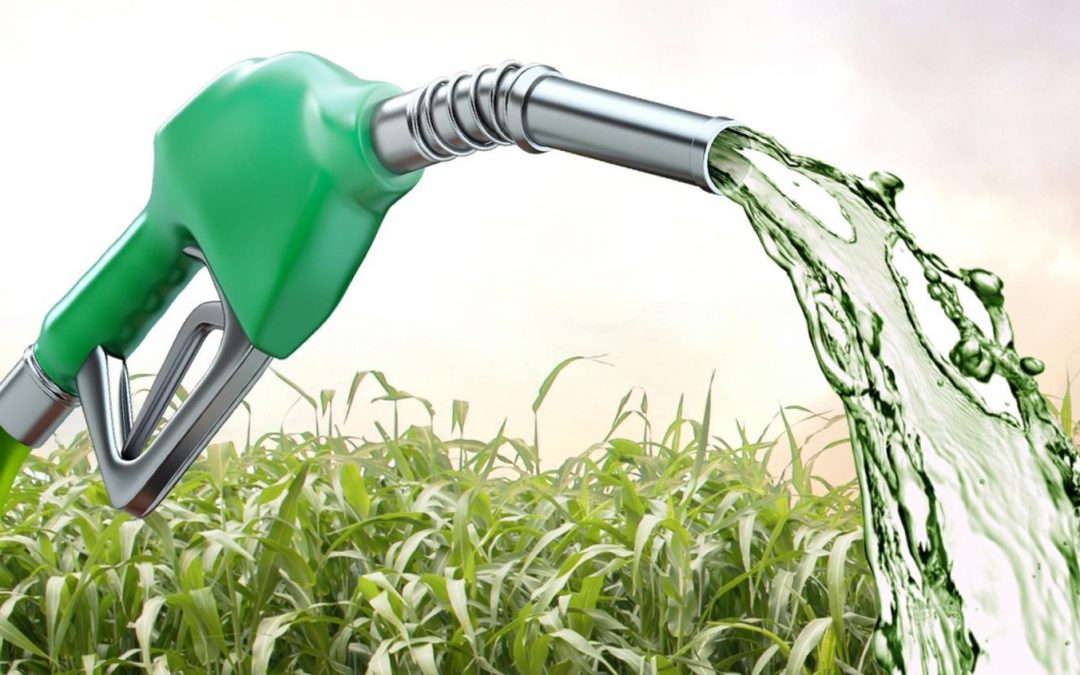 Etanol: ¿qué ventajas aporta? – Mechanic Garage